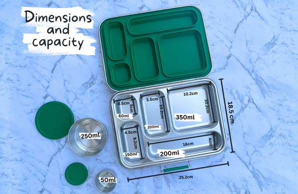 Large Stainless Steel Bento Box - Green – Boxi Australia