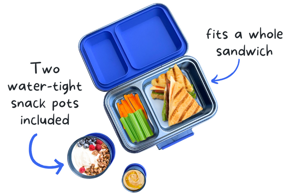 Medium Stainless Steel Bento Box - Royal Blue – Boxi Australia