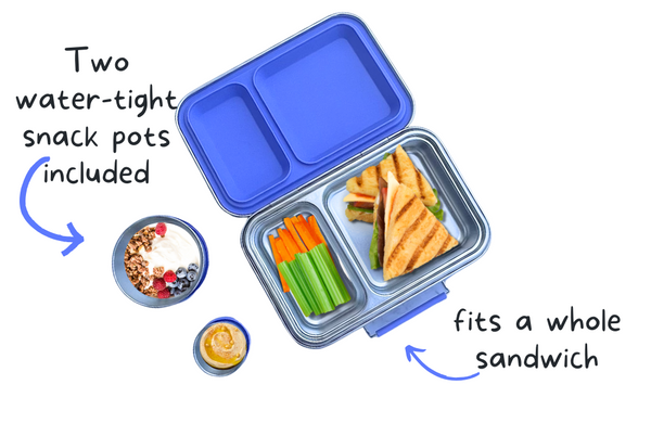 Medium Stainless Steel Bento Box - Purple – Boxi Australia